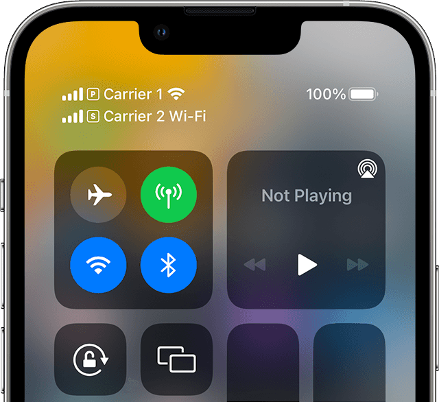 iPhone 11 - Travel Data Plans - ALPHA eSIM Card